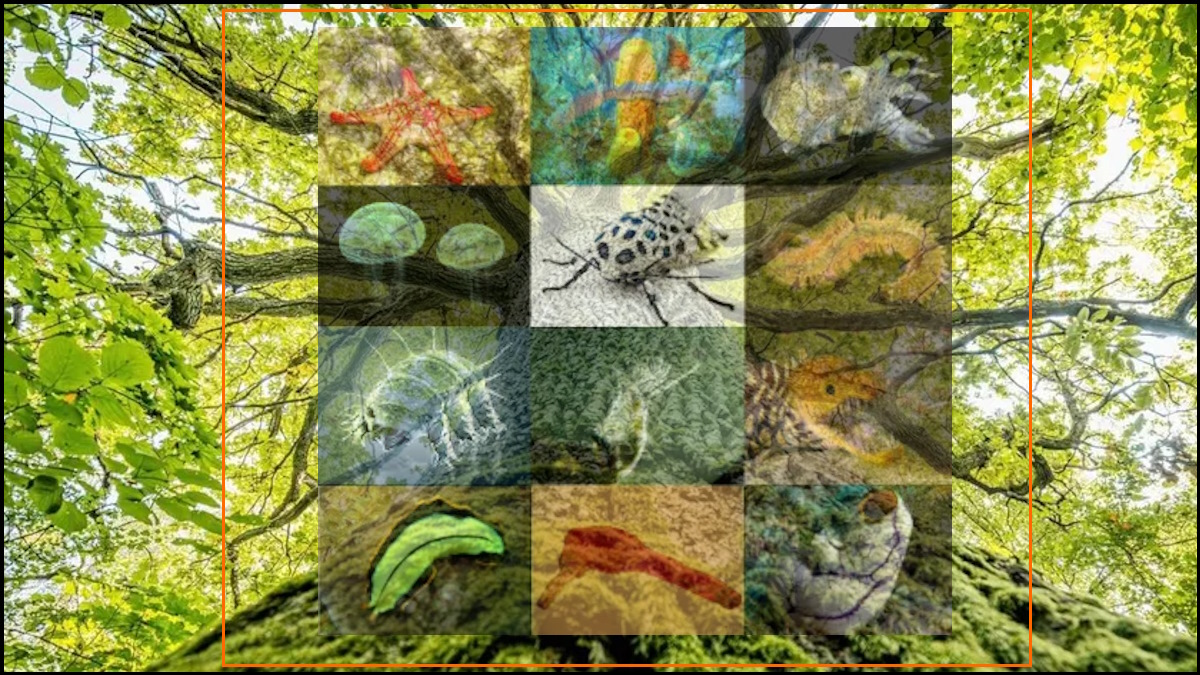 Psyche, Psychosphere & the Feeling of Dissonance - Emerge