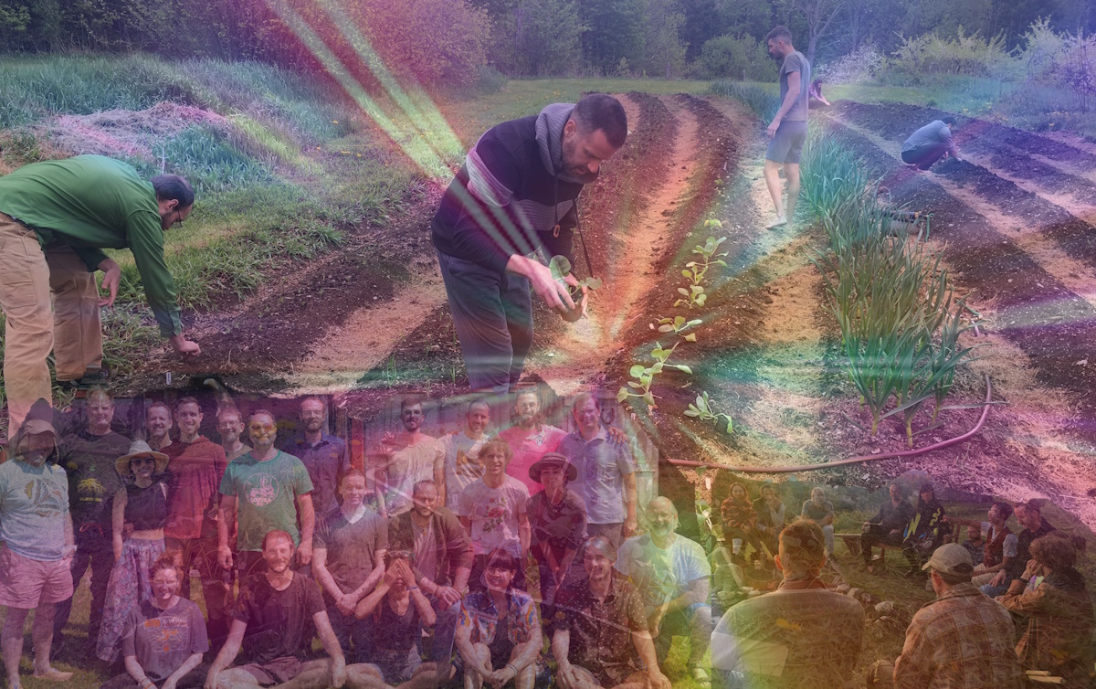 MAKING THE VORTEX SPEAK - Emerge